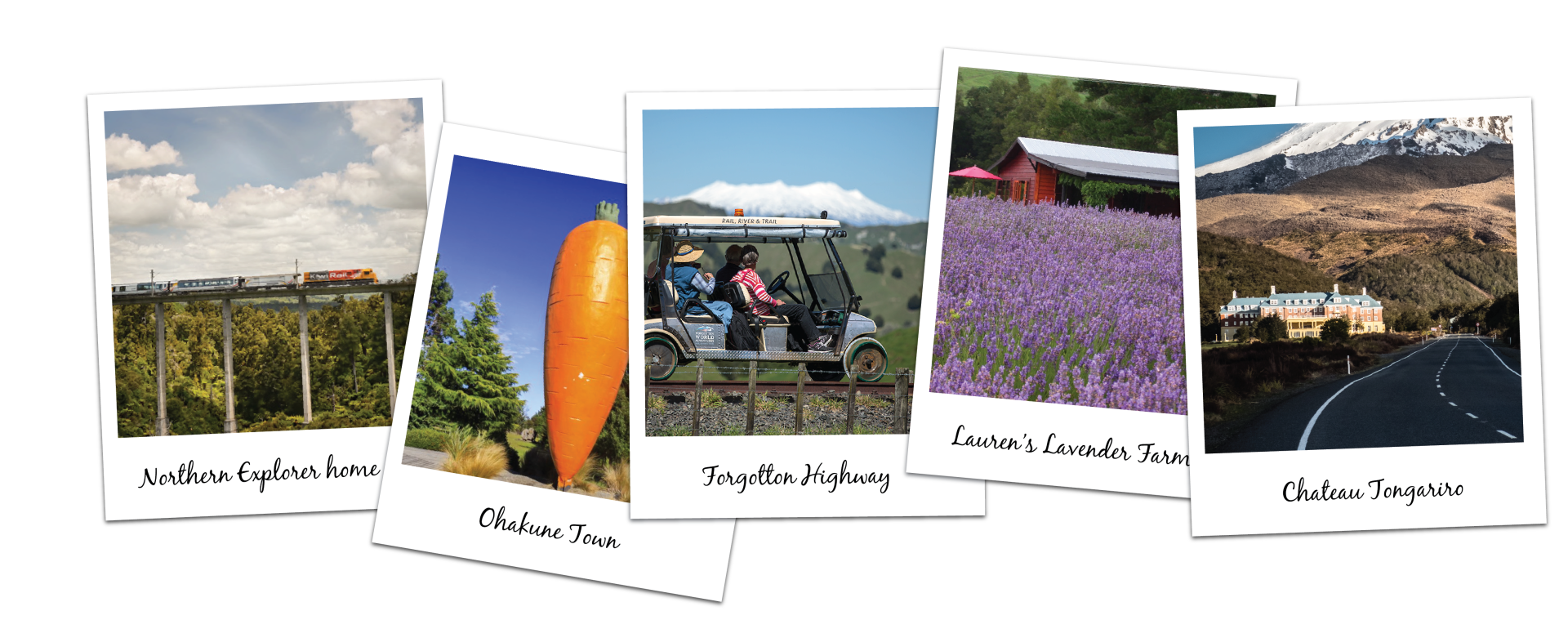 Forgotten World Highway Tour | Seemore Tours