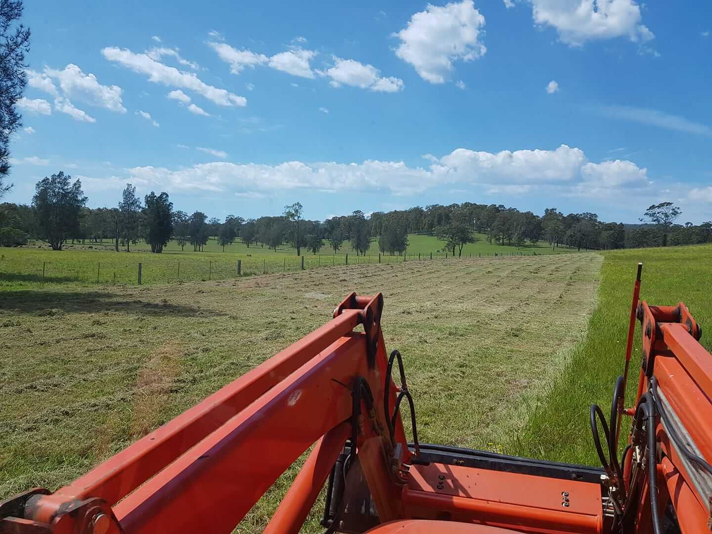 Coastal Slashing and Mowing Services | Slashing in Mid North Coast