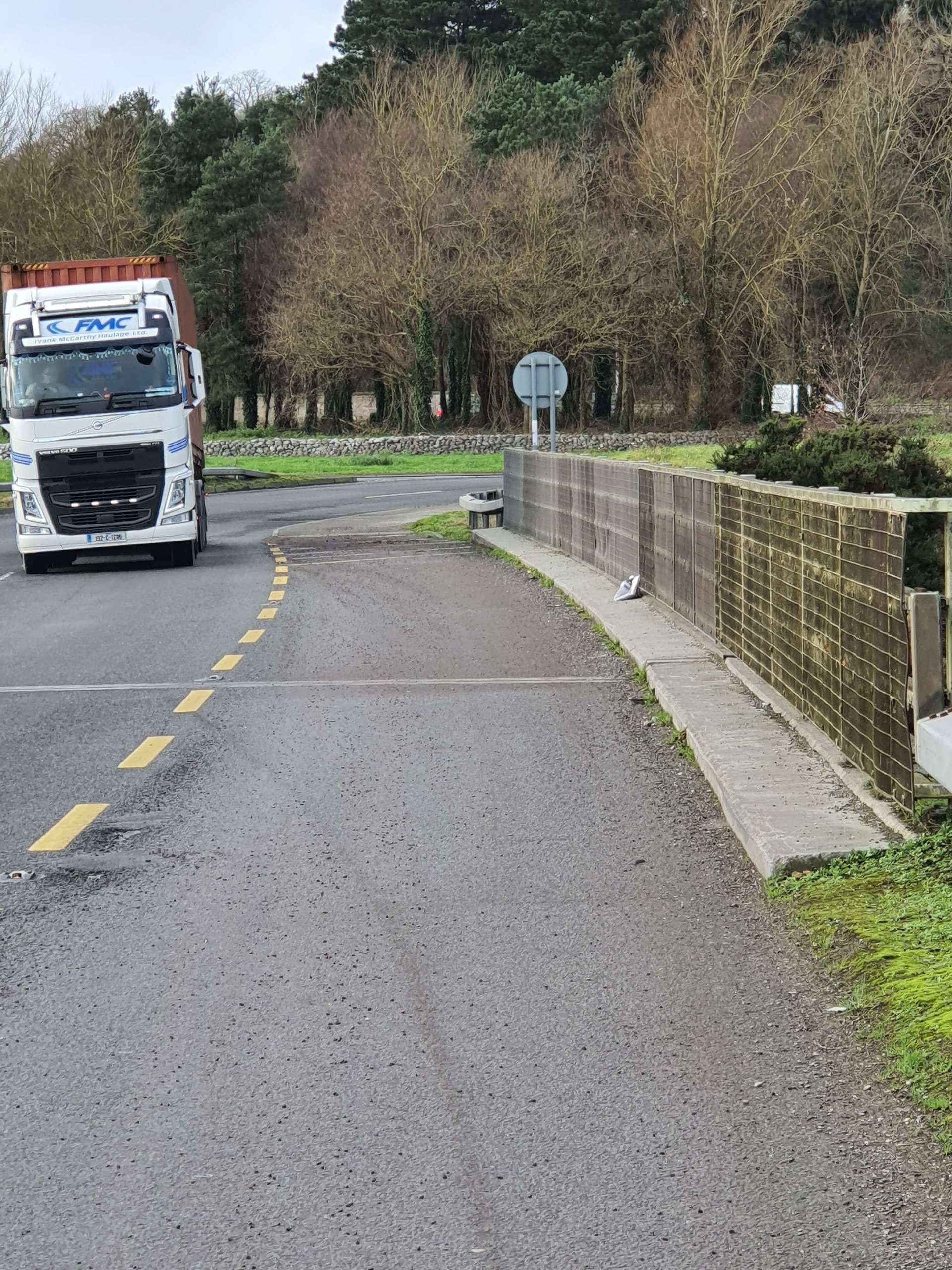 Case Study | Island of Ireland Bridge Project | AmmLee