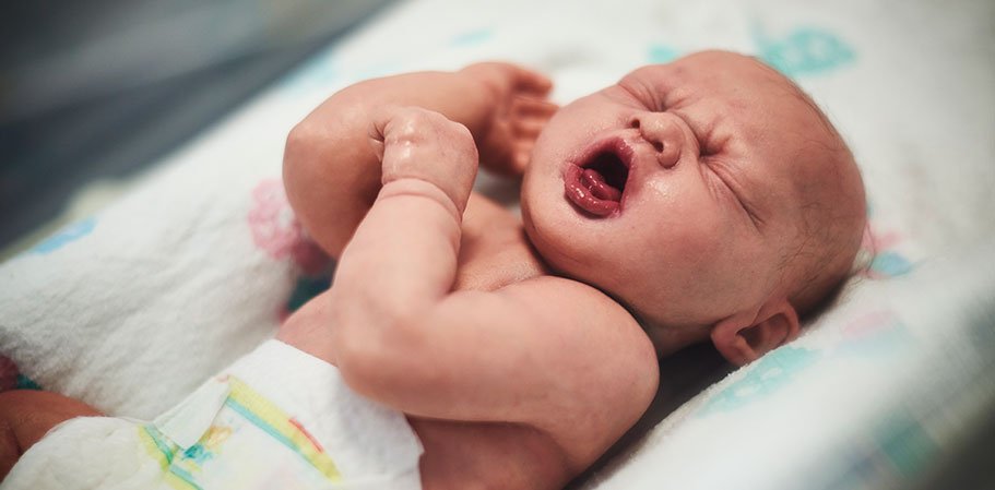 Lifecast Body Simulation | THE WORLDS MOST REALISTIC TEACHING TOOLS