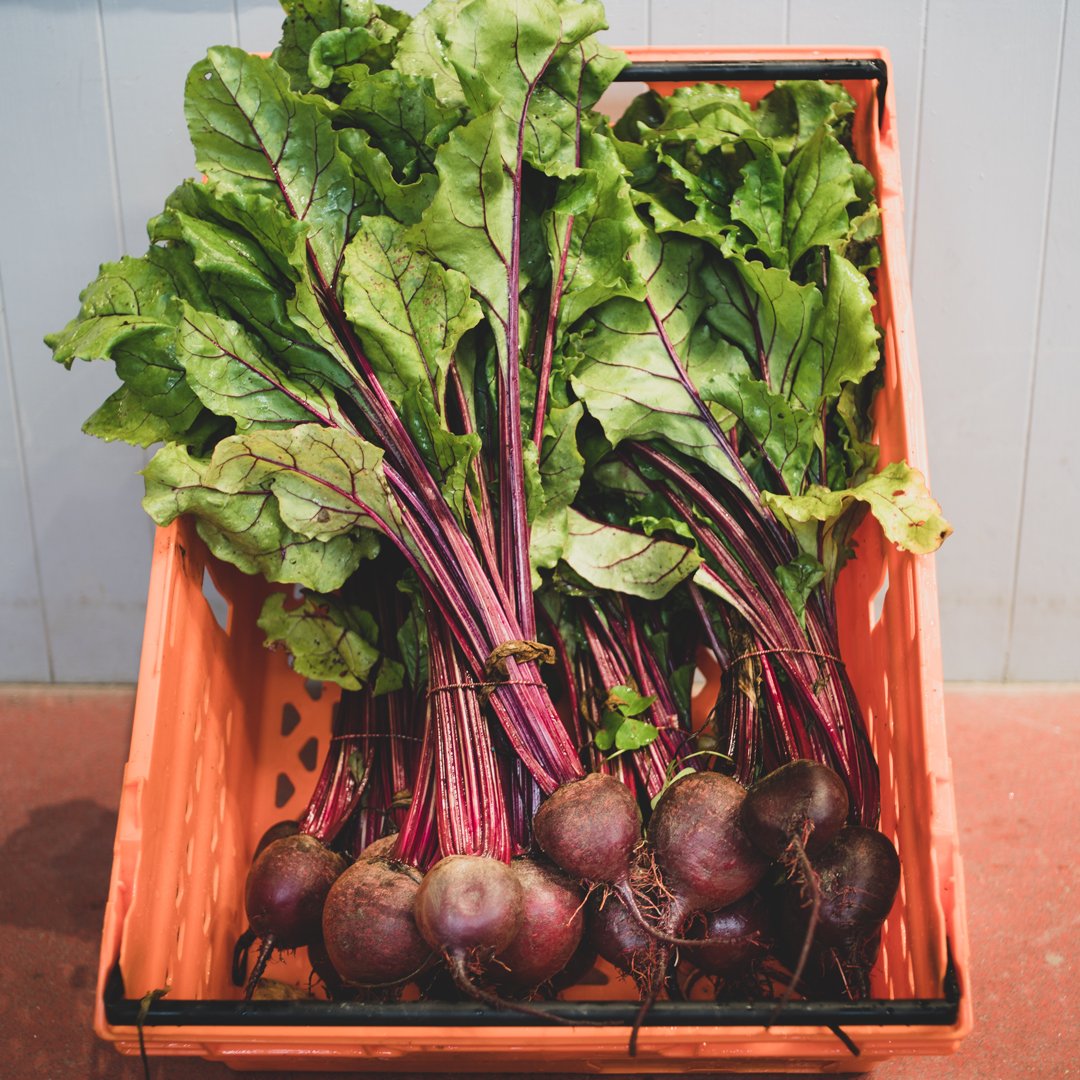Padstow Farm Shop Veg