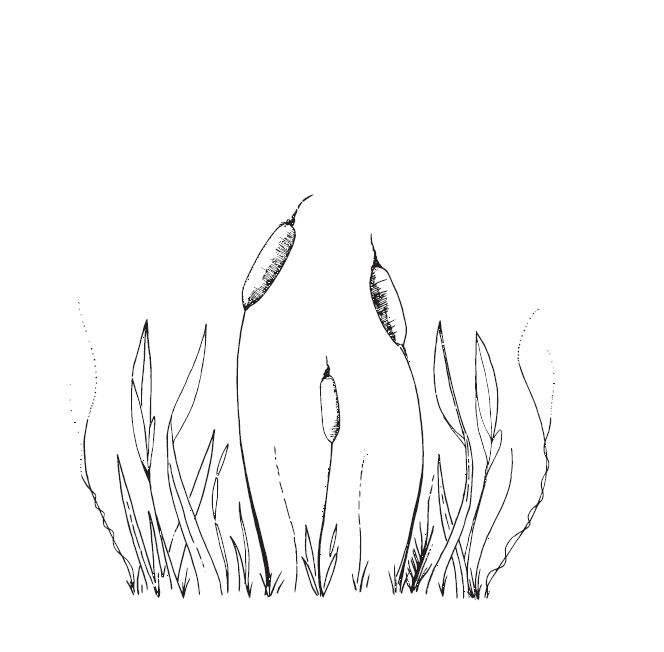 Bulrush Restaurant