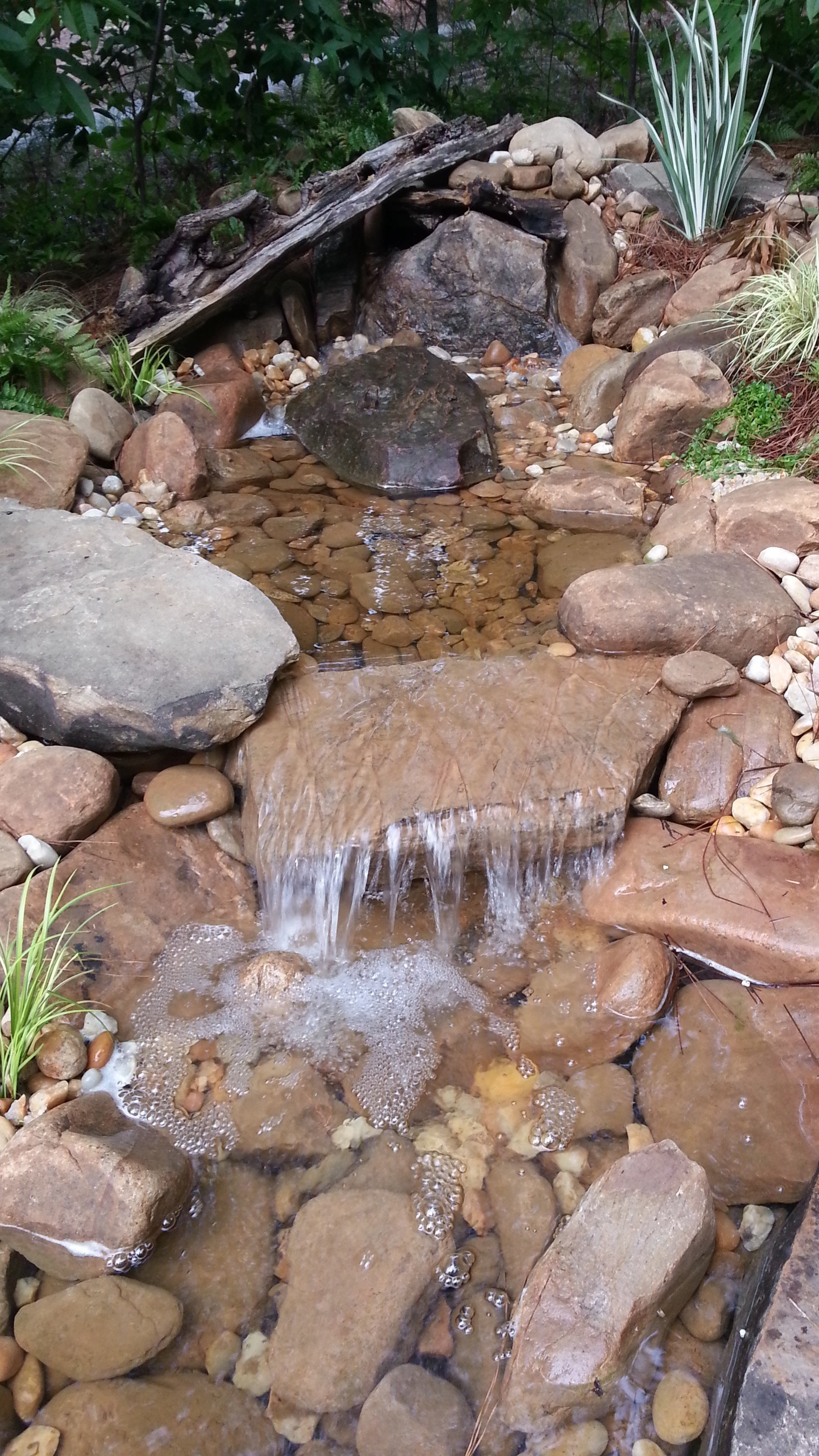 Water Features to Focus and Define Gardens | Port Melbourne