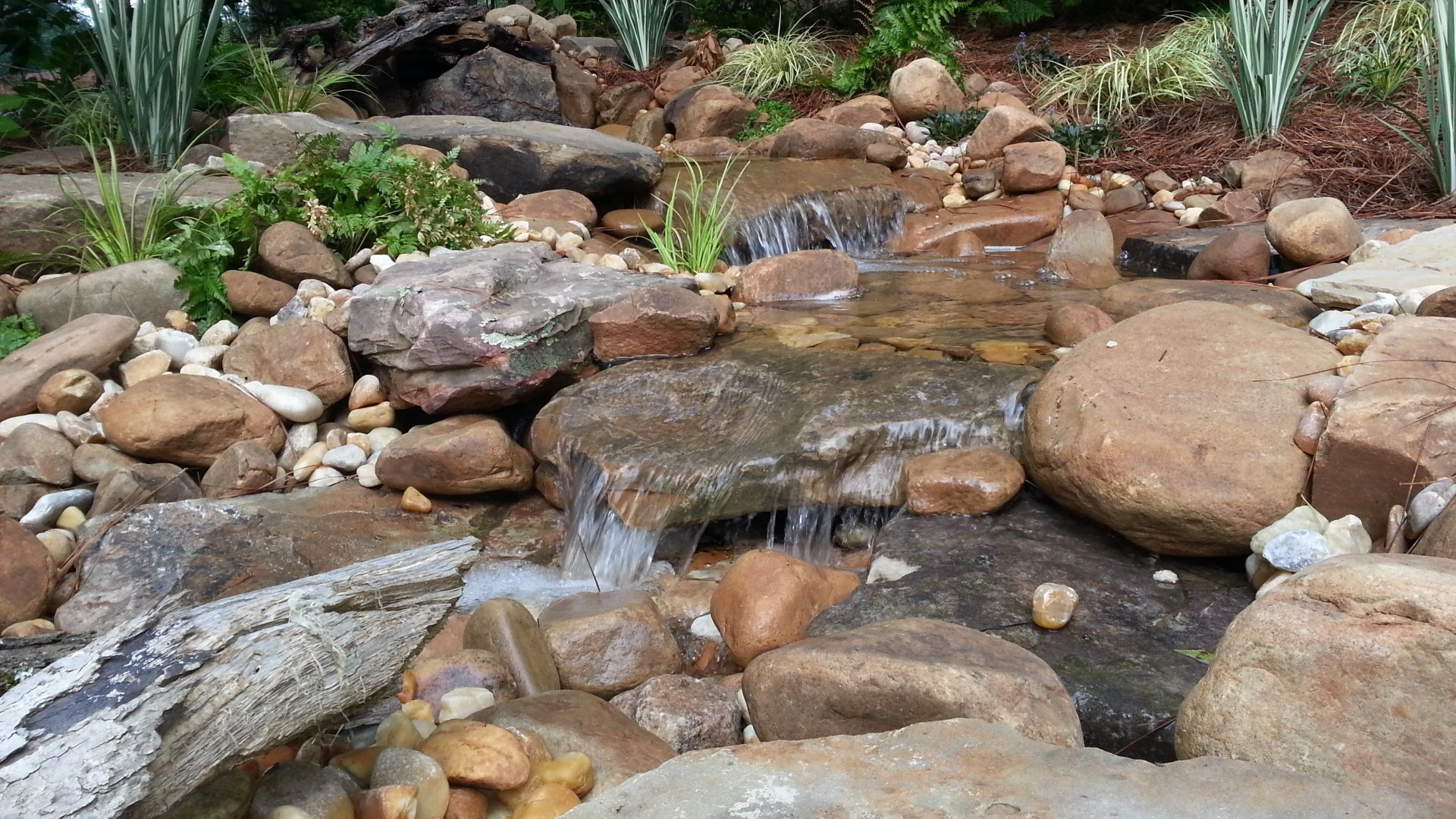 Water Features to Focus and Define Gardens | Port Melbourne