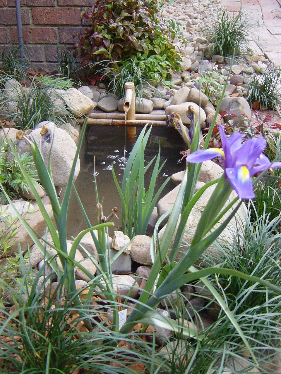 Water Features to Focus and Define Gardens | Port Melbourne