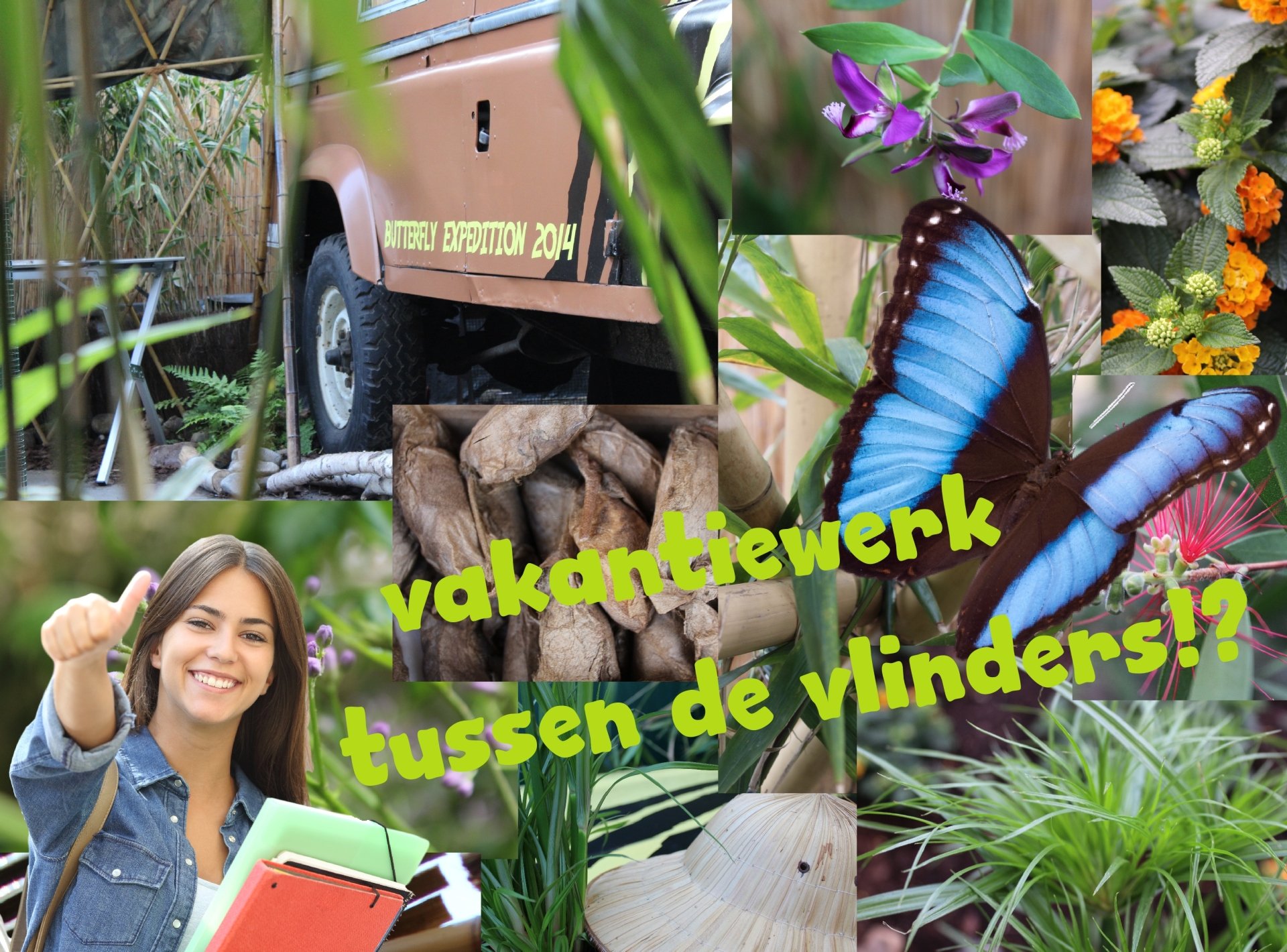 Vlindersafari Tropische Vlindertuin Gemert
