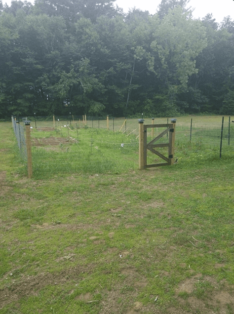 Home | Pine Ridge Estates