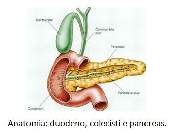 Disturbi del pancreas - Roma - Dott. Prof. Iannetti - Pancreatite acuta ...