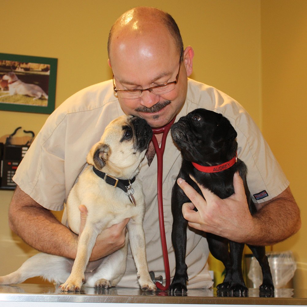 Vet Clinic in Peterborough & Cavan Monaghan, ON | Animal Hospital