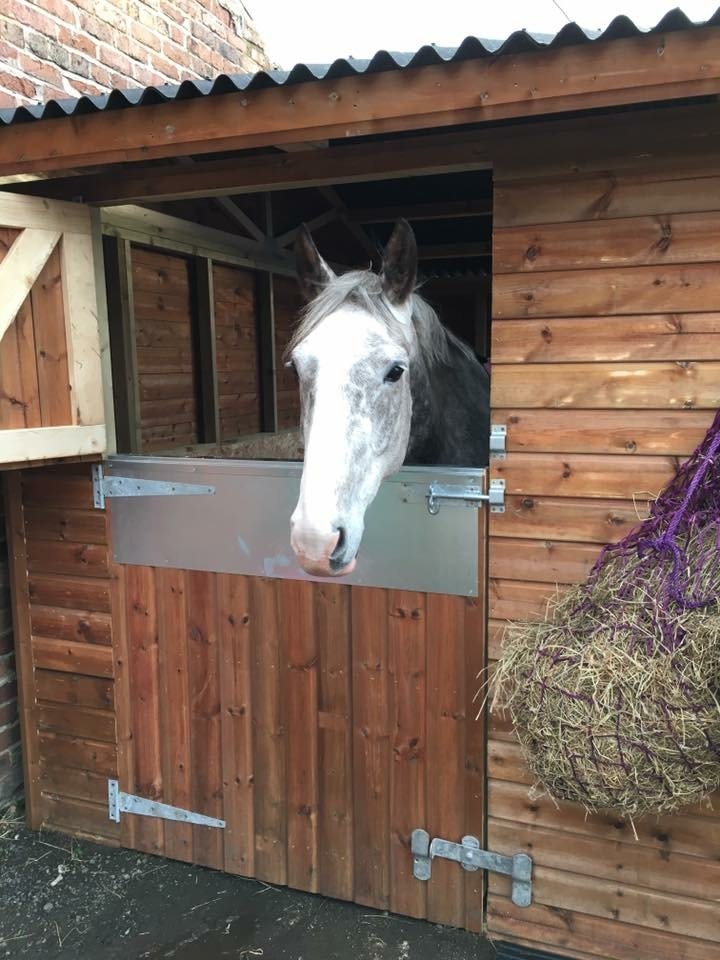 Cheshire Stables, your number 1 local stable manufacturer