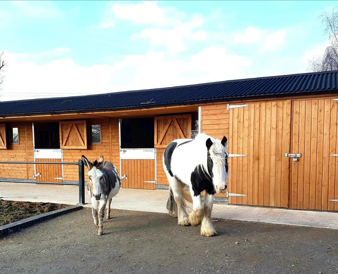 Cheshire Stables, your number 1 local stable manufacturer