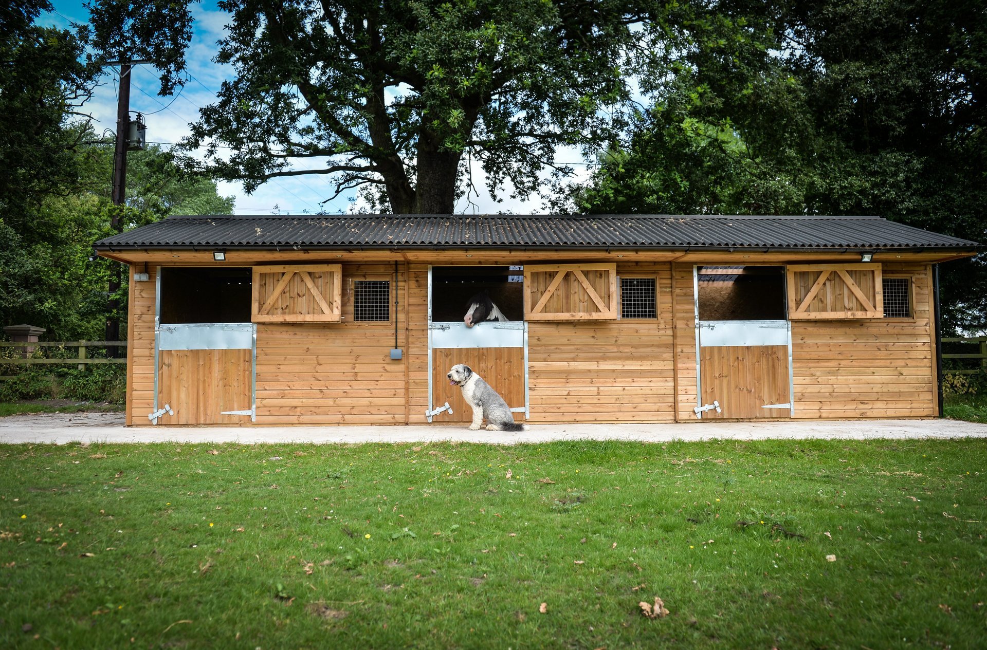 Cheshire Stables, your number 1 local stable manufacturer