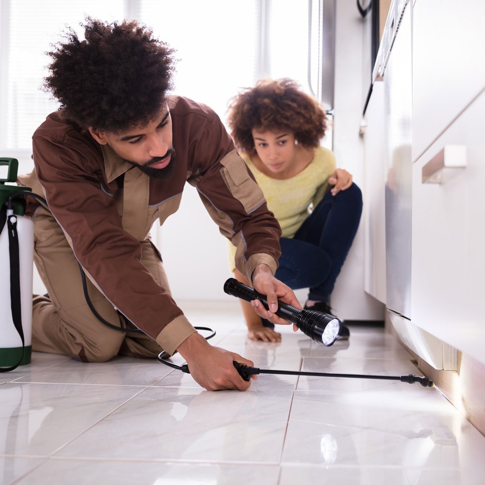 Pest Control Services in College Station, TX