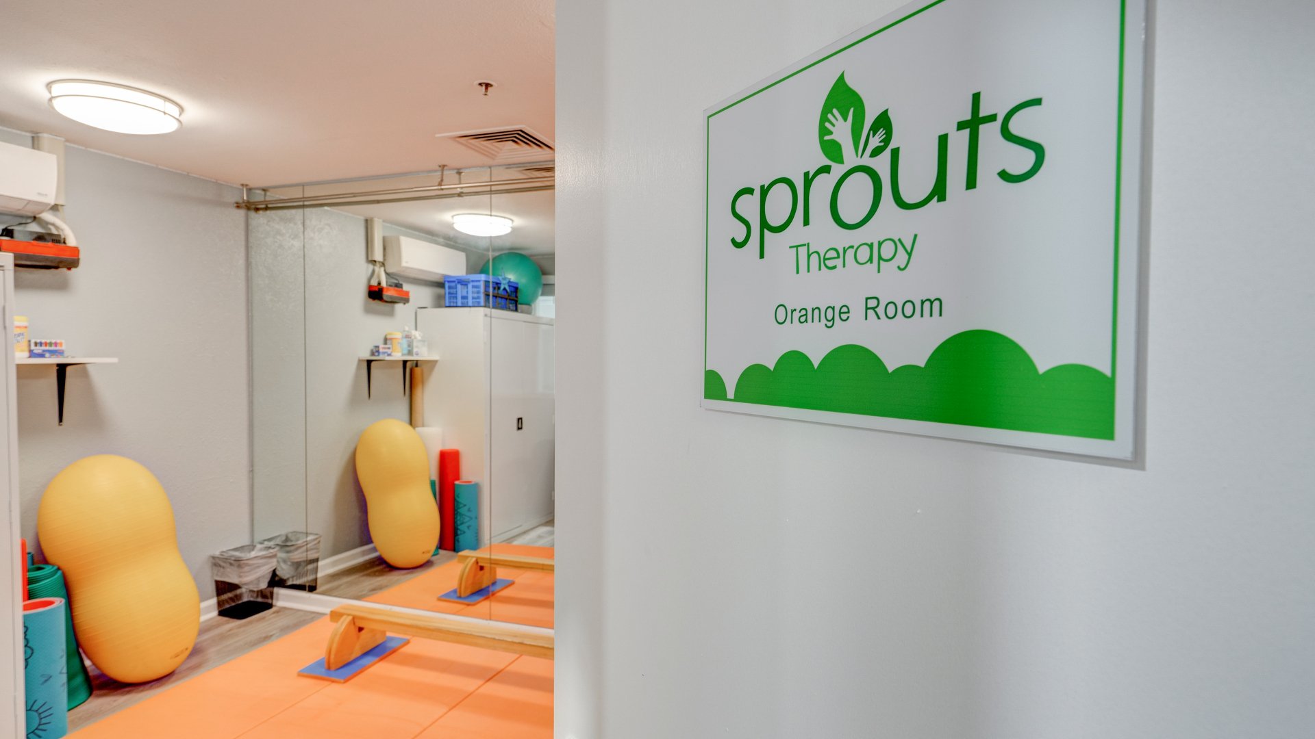 Hawaii's Leading Play-Based Pediatric Therapy Clinic