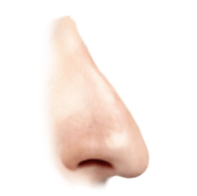 Your Guide To Tip Rhinoplasty