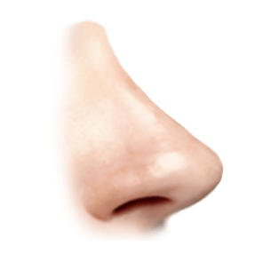 Your Guide To Tip Rhinoplasty