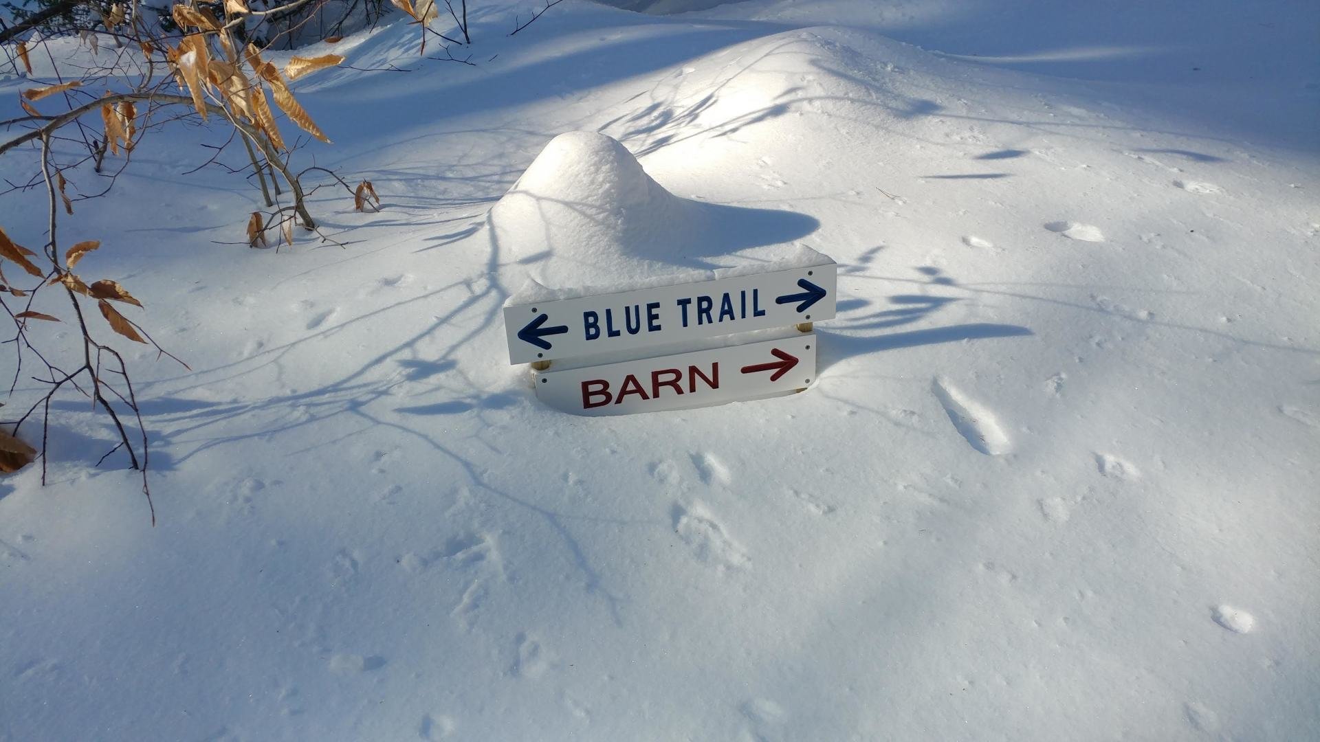 About Geneva Point Center Recreation