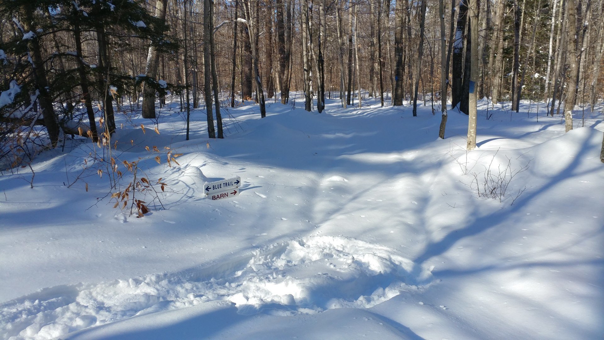 About Geneva Point Center Recreation