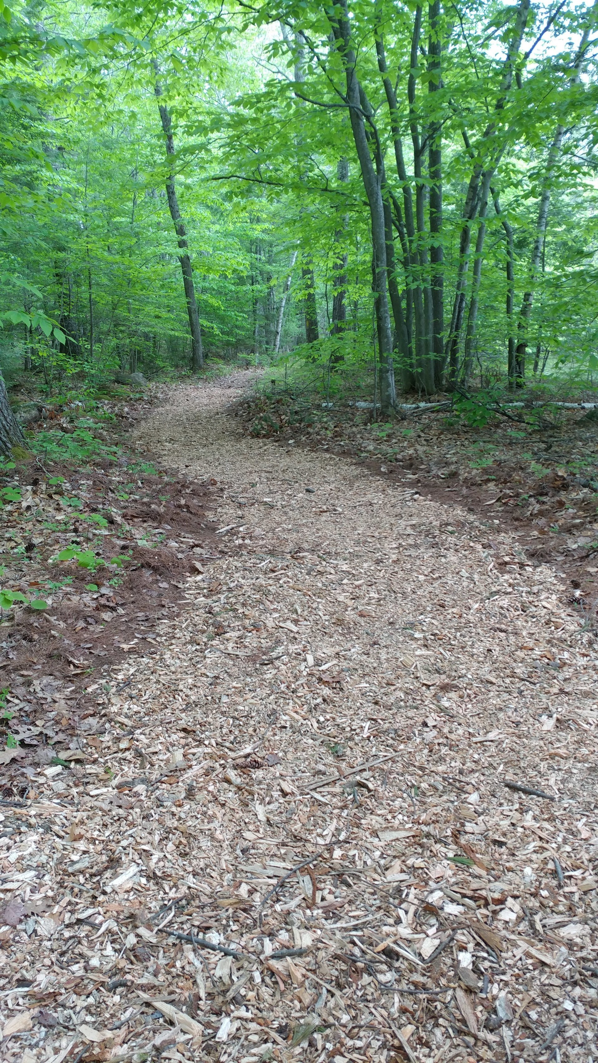 About Geneva Point Center Recreation