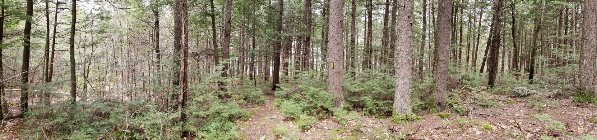 About Geneva Point Center Recreation