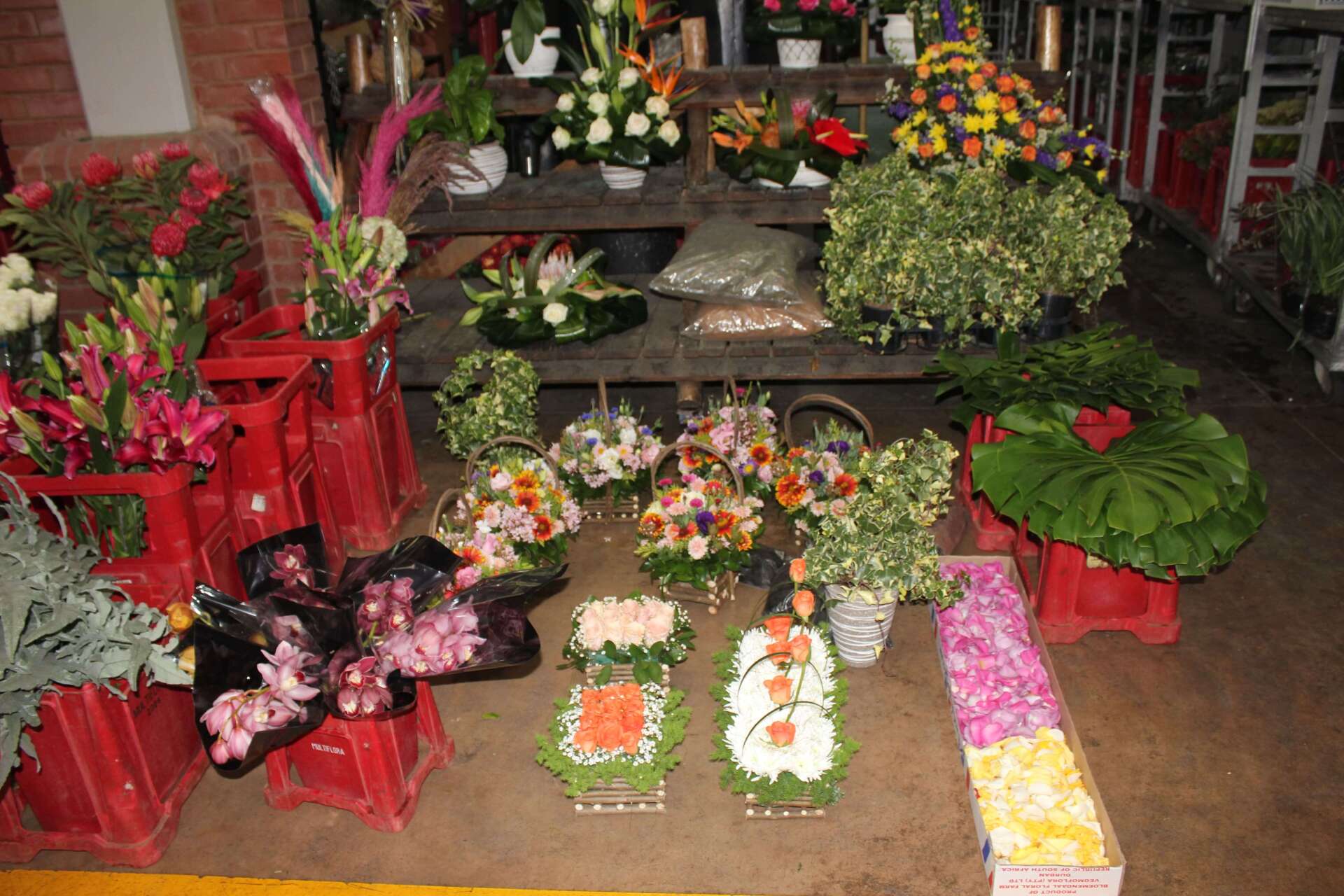 Florists' Haven: Exquisite Blooms & Floral Delights