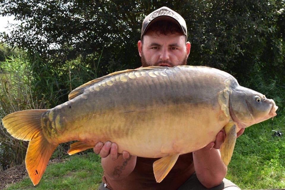 Home [www.festivalcarpfishery.co.uk]