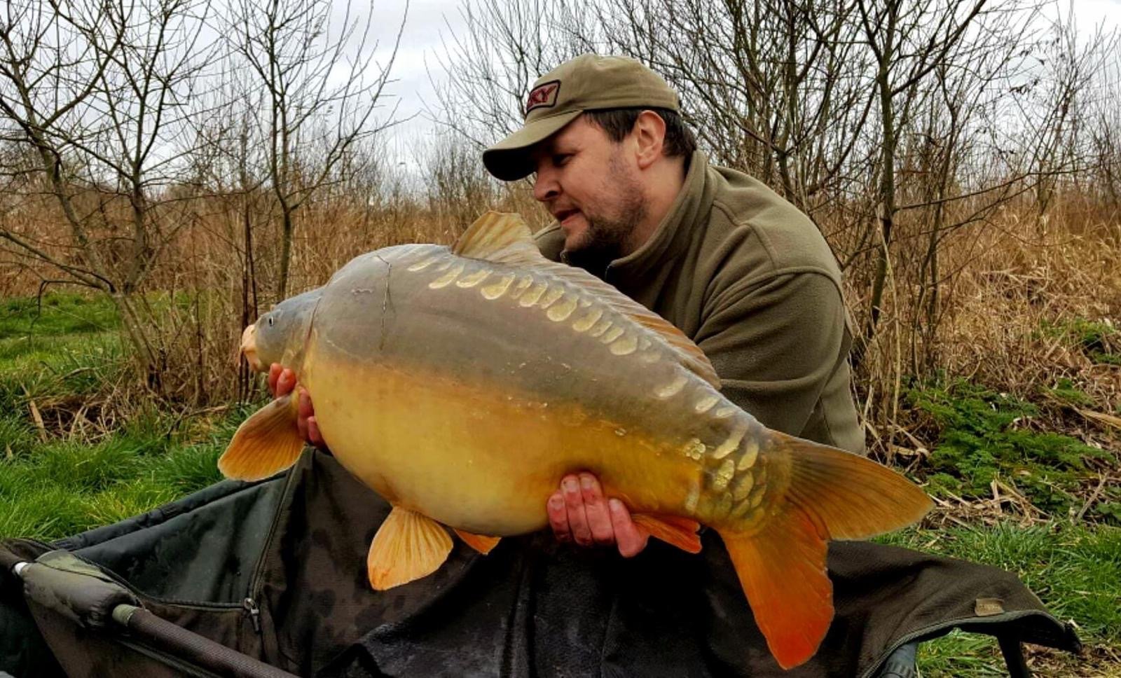 Home [www.festivalcarpfishery.co.uk]