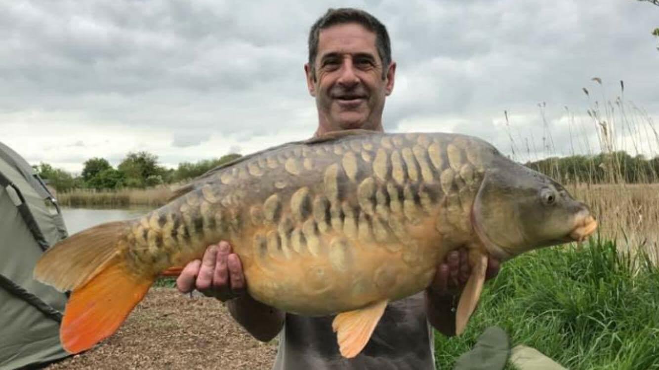 Home [www.festivalcarpfishery.co.uk]