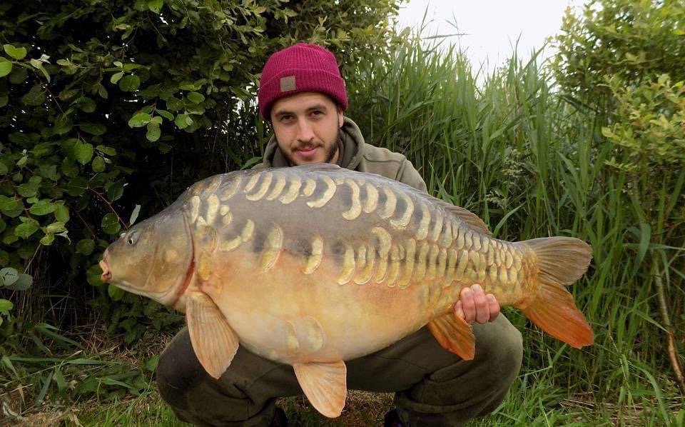 Home [www.festivalcarpfishery.co.uk]