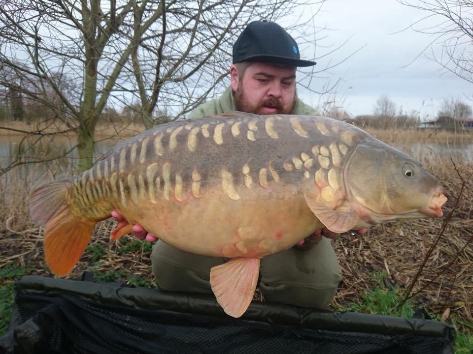 Home [www.festivalcarpfishery.co.uk]