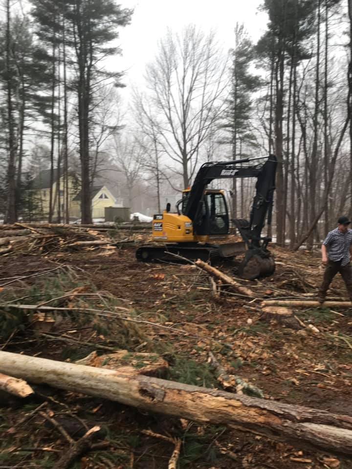 Tree Service Pictures | Tree Removal Before and After