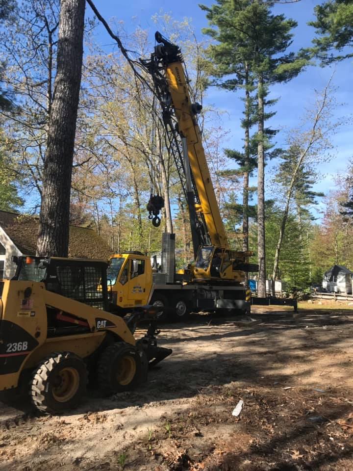 Tree Service Pictures | Tree Removal Before and After
