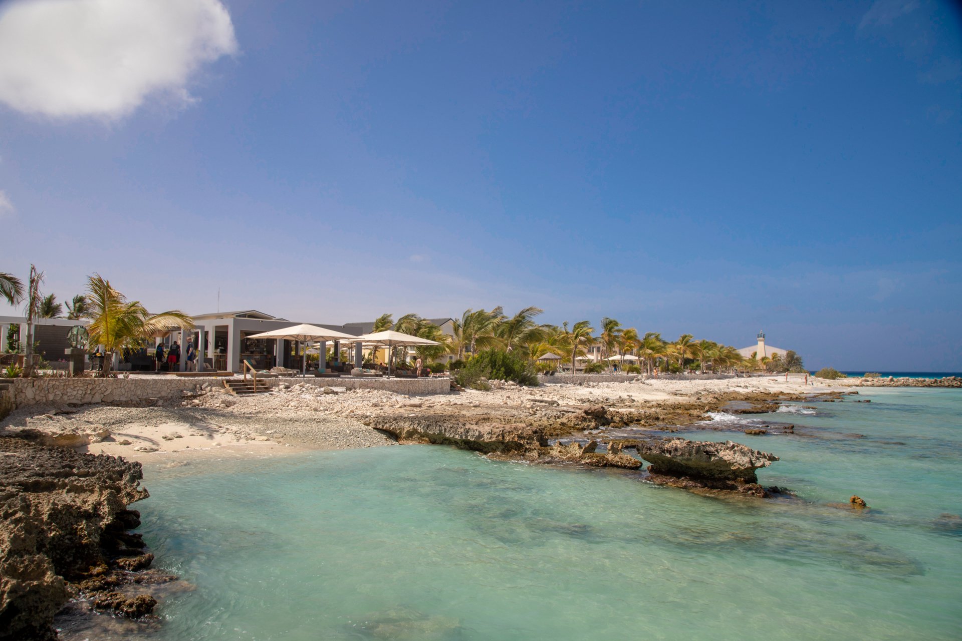 The Top 5 Dive Spots in Bonaire