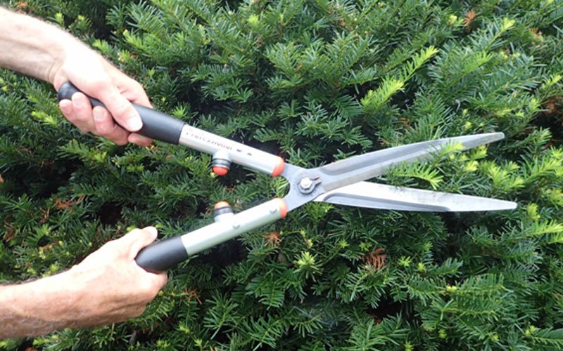 Top 10 essential garden tools to maintain your EPIC landscape