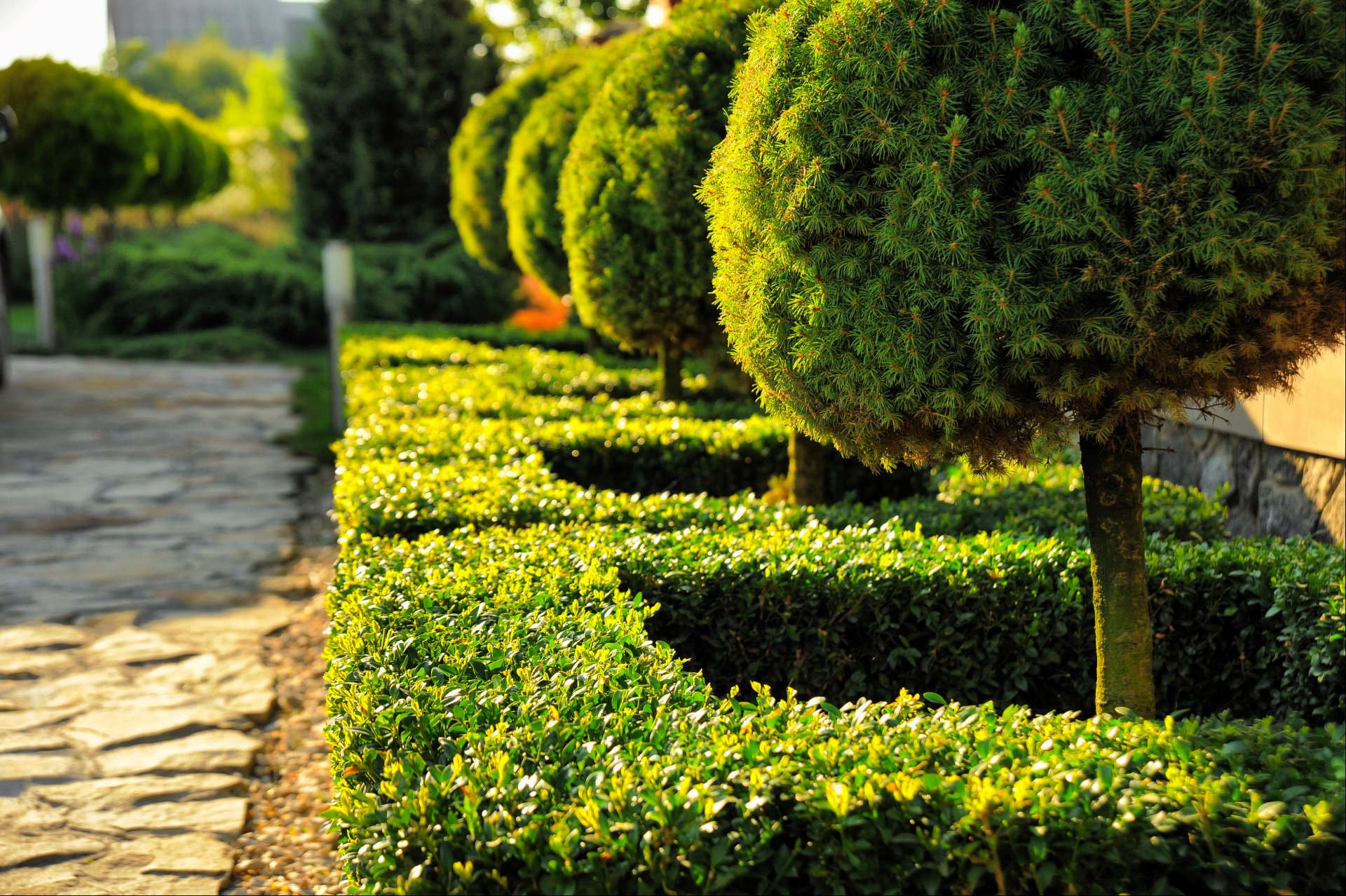 Top 10 essential garden tools to maintain your EPIC landscape