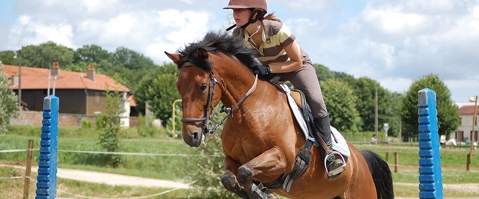 Sandwell Valley Riding Centre, horse riding school in West Bromwich