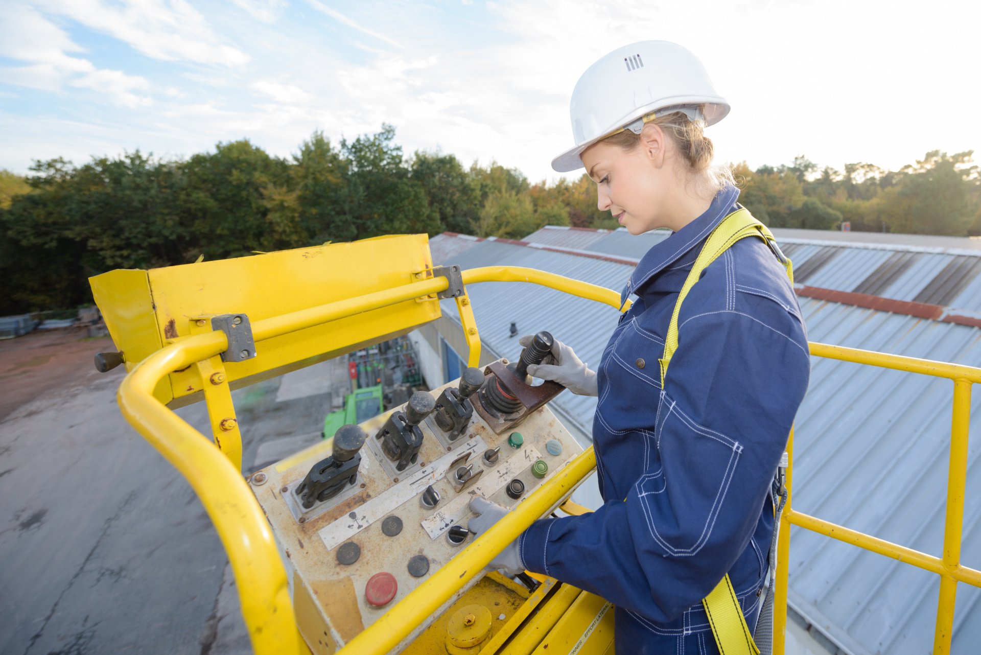 About | IPS Ireland A Values Driven Company