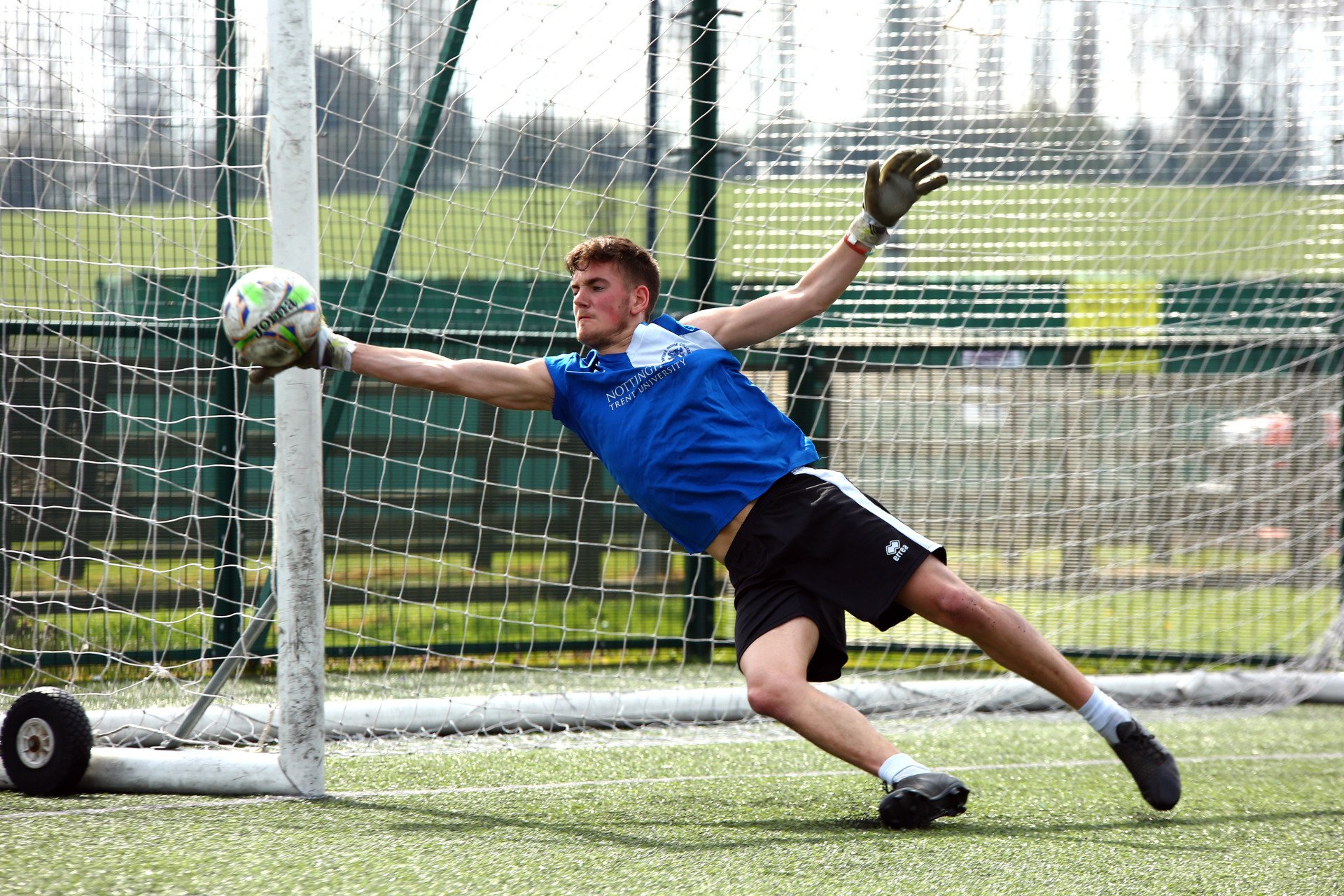 World Student Advisors Undergraduate Degree Courses