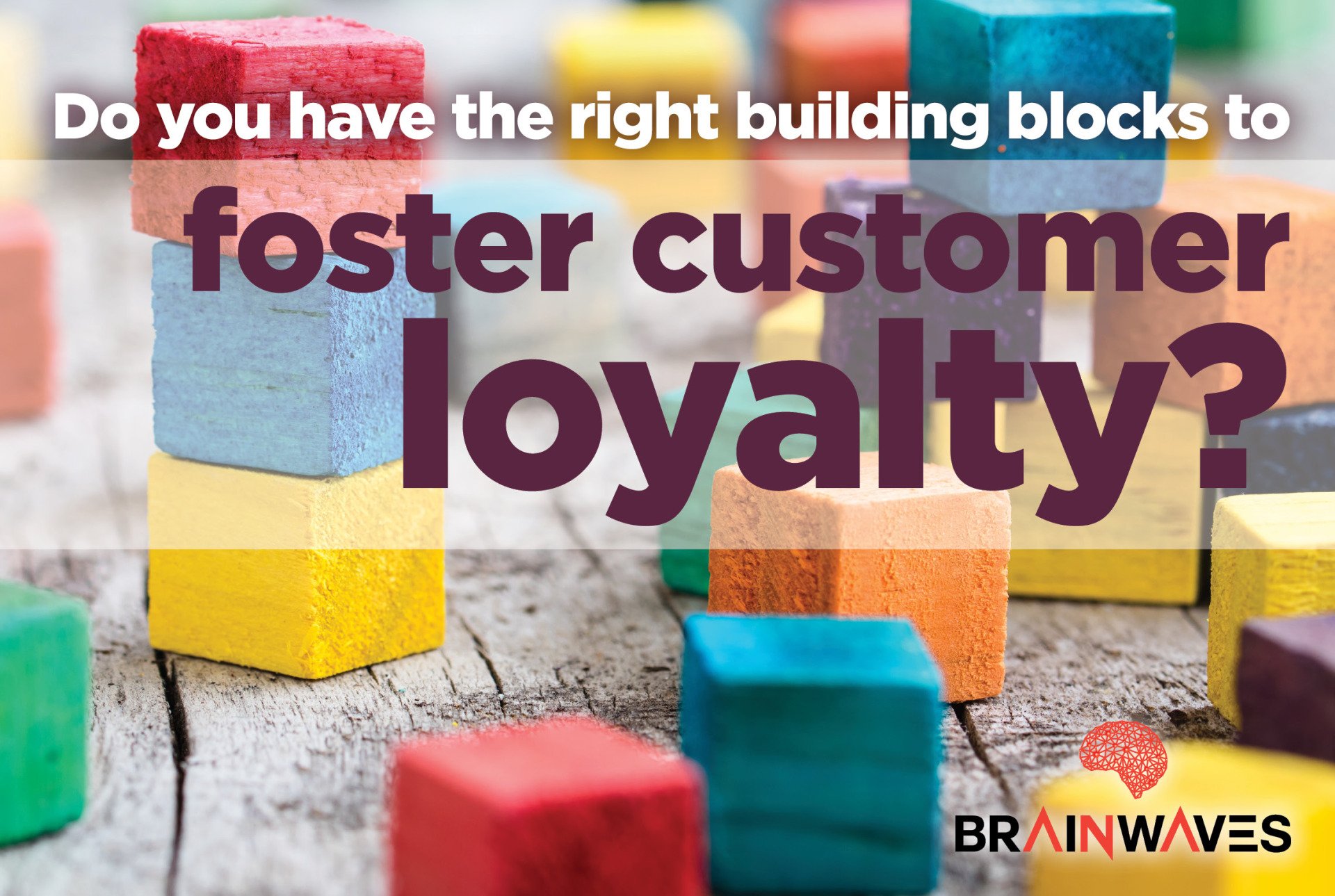 Building Blocks to Foster Customer Loyalty