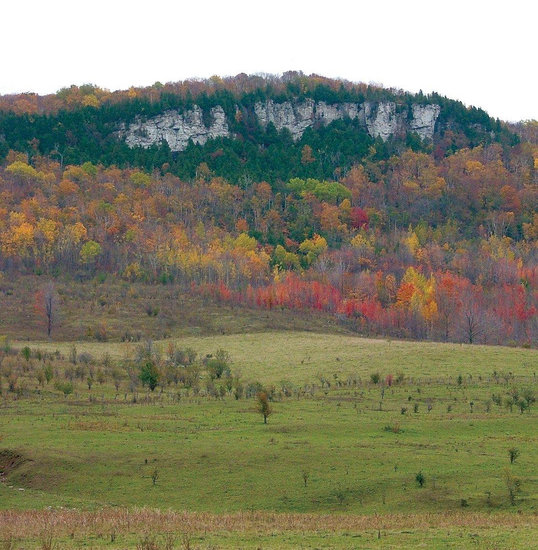 Explore Grey Highlands | Home | Learn more about Grey Highlands