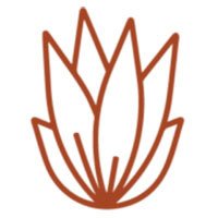 Our Services | Lotus Den