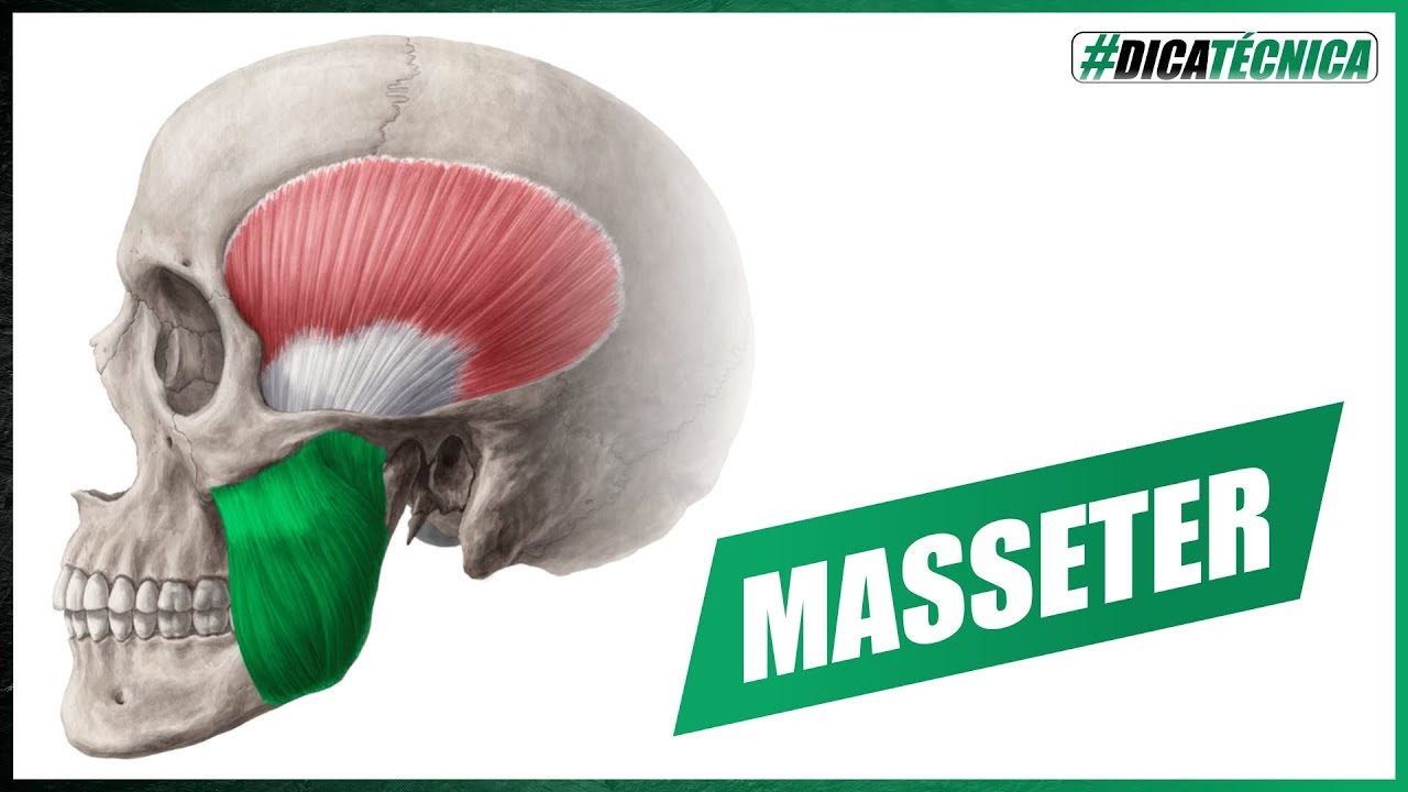 ARTICULAÇÃO TEMPOROMANDIBULAR: Alivie a DORES TENSIONAIS com técnicas ...