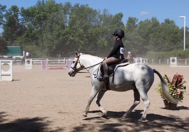 Home [www.claddaghstables.com]