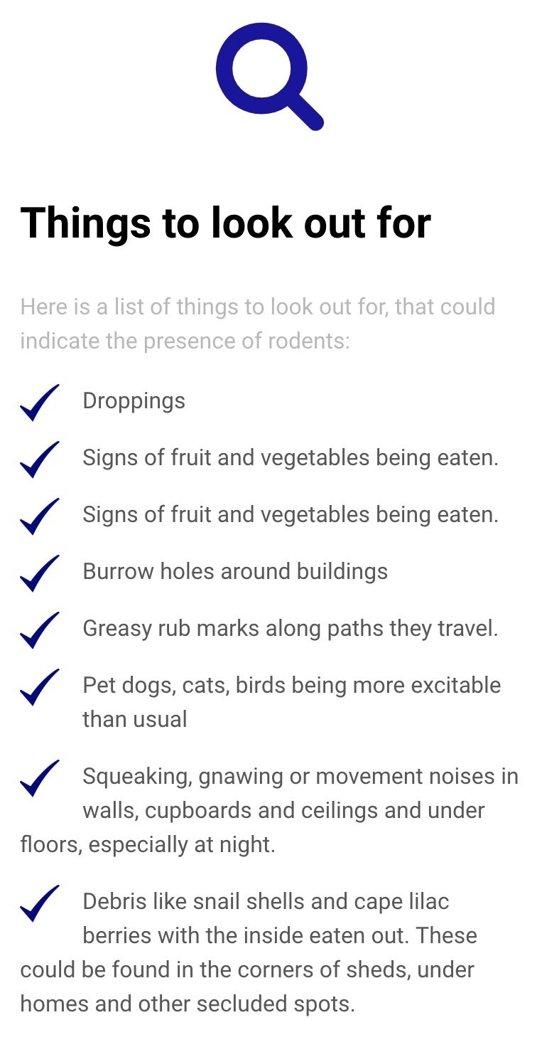 Rat & Mice Control & removal in Perth (3 Month Free Period) | Stewarts ...