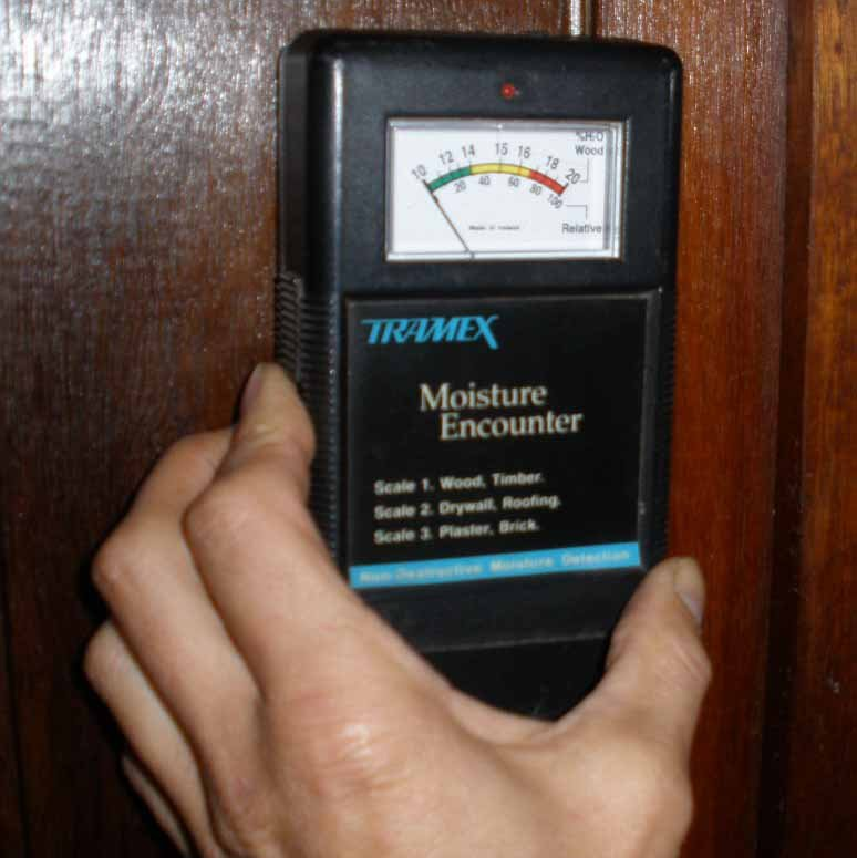 Termite Inspections Perth | Expert Team To Your Door in 24 Hours