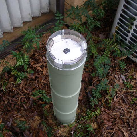 Termite Baiting | Stewarts Pest Control