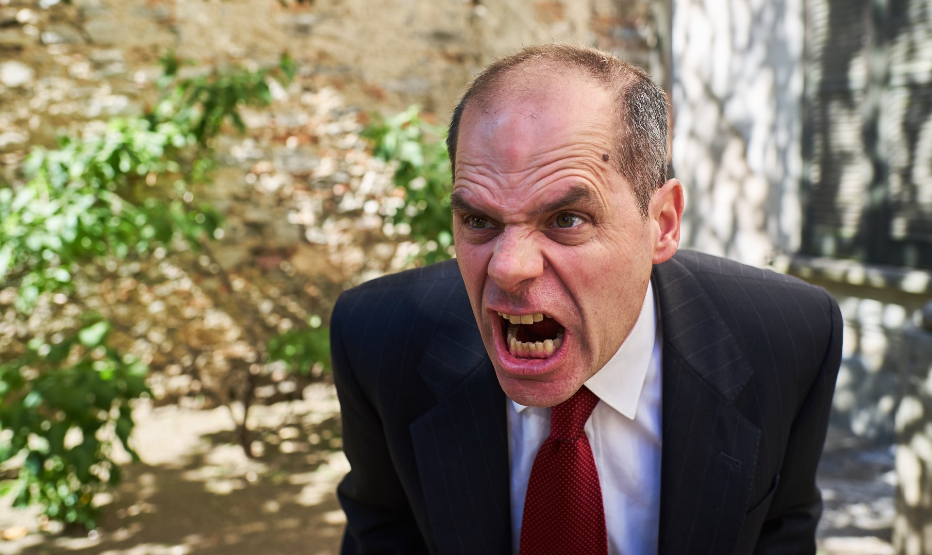 Paolo Riva : Biografia | Lavori | Show Rell | Contatti