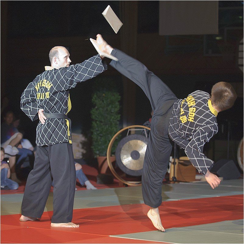 Shinson Hapkido - Bewegung für das Leben