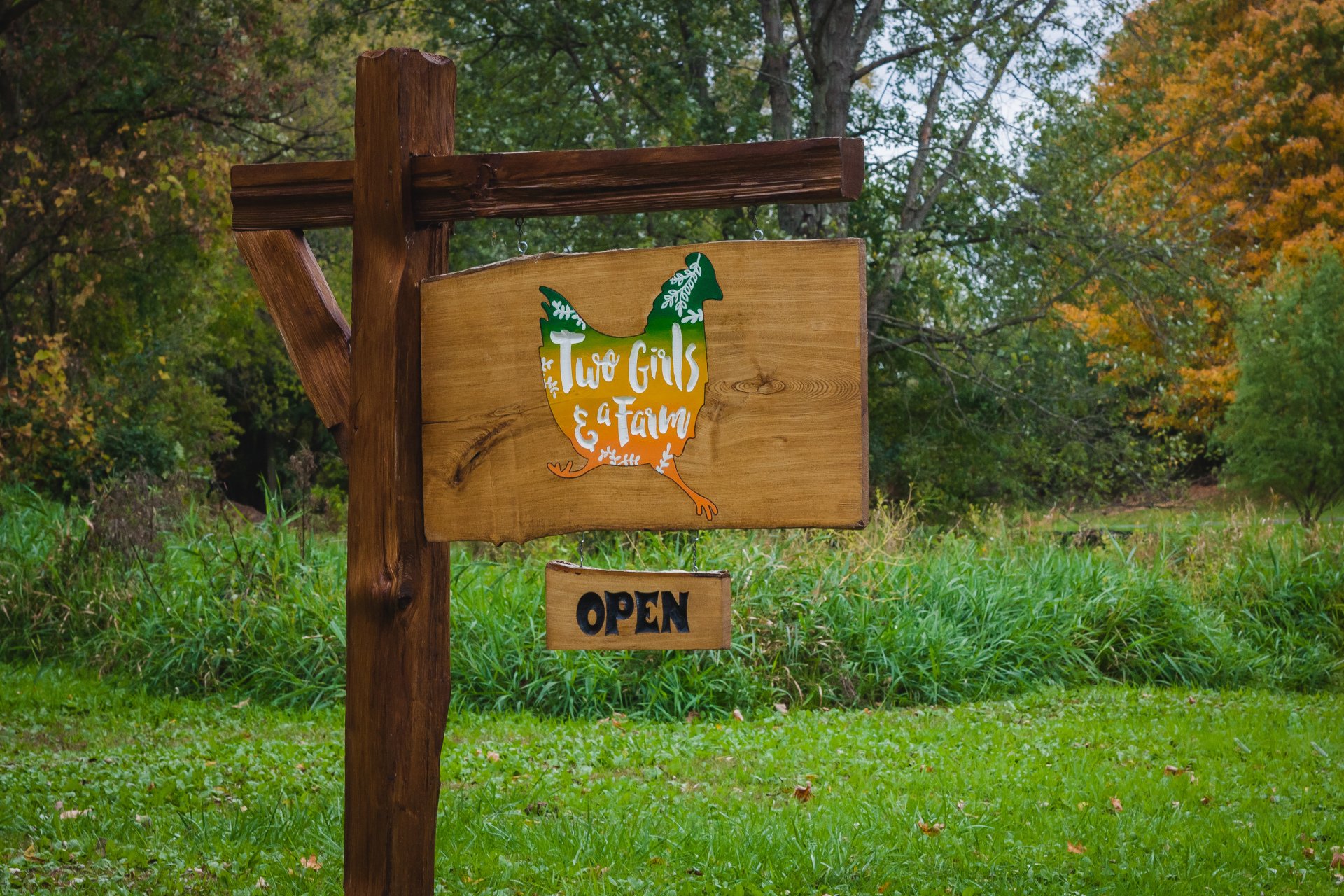 Nesh Design and Media | Websites and Digital Marketing