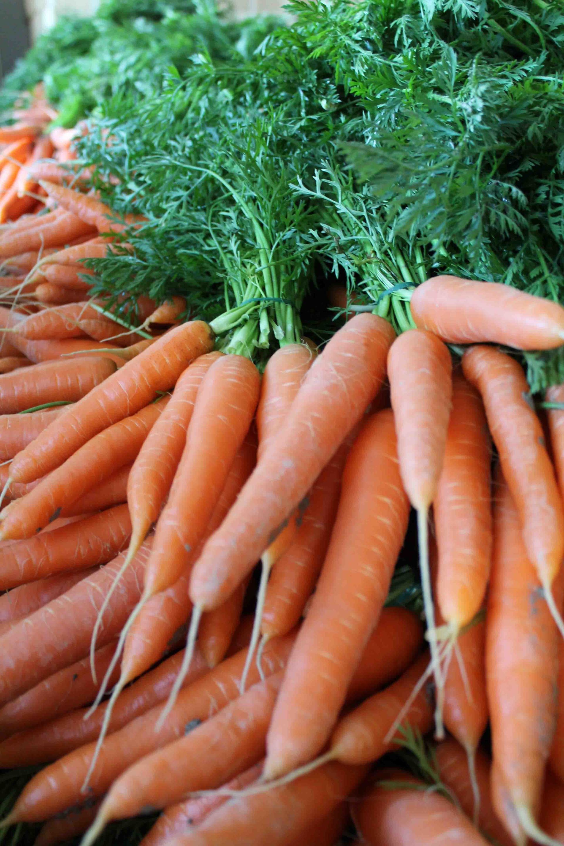 Azienda Agricola Venditti Fabio - I nostri prodotti